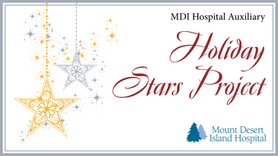 The Holiday Stars Project Honors Those Whose Lives Have Been Affected ...