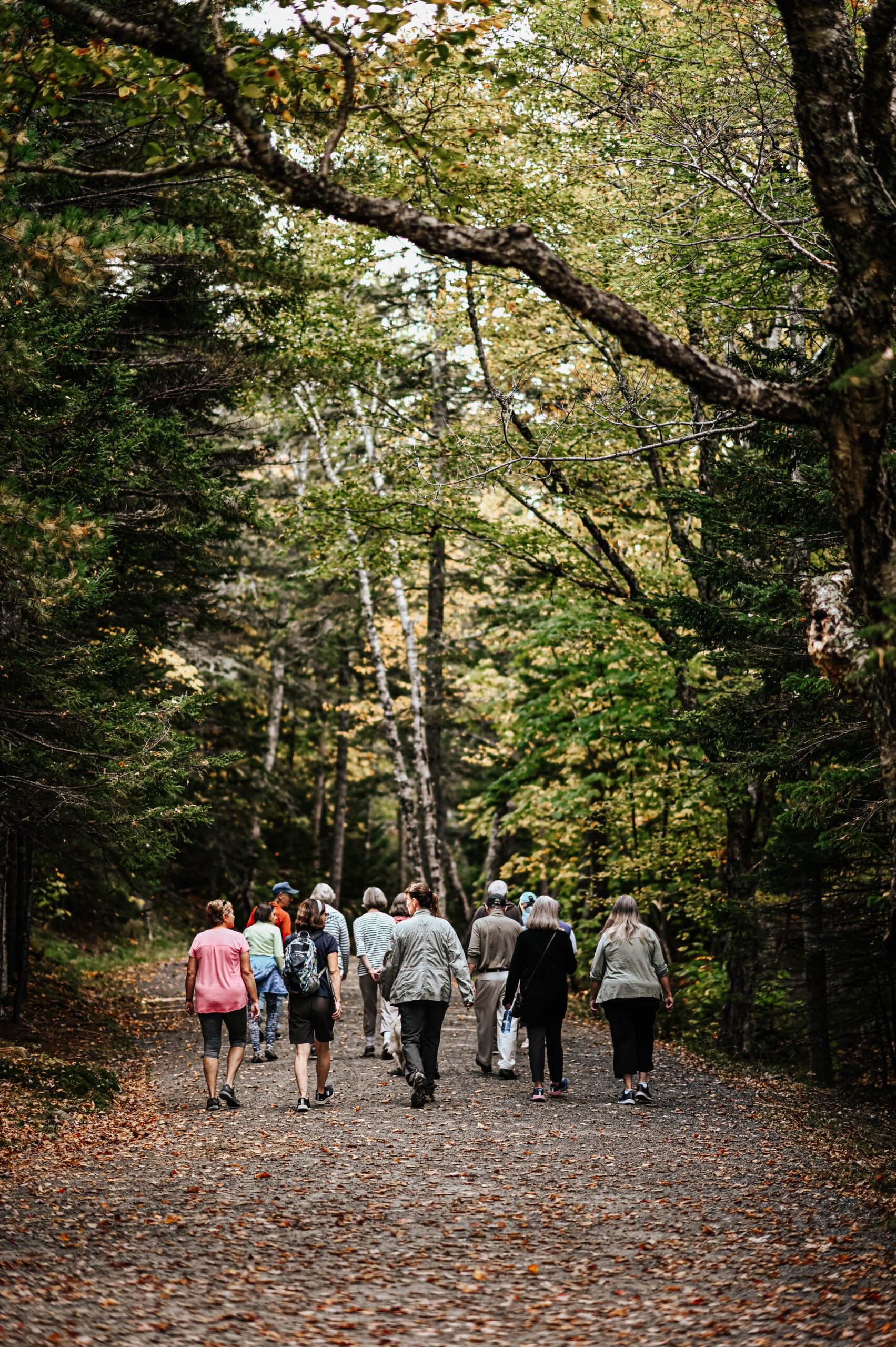 MDI Hospital's Wellness Program Presents "Walks in the Park" - MDI Hospital