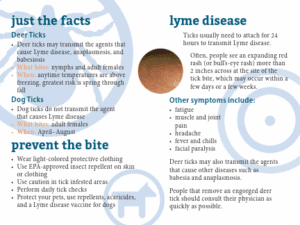 Download Your Tick ID Wallet Card! - MDI Hospital